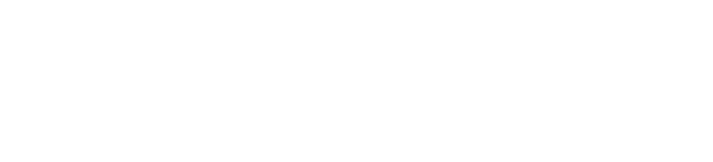 DZB Leiden – Jaarbeeld 2024