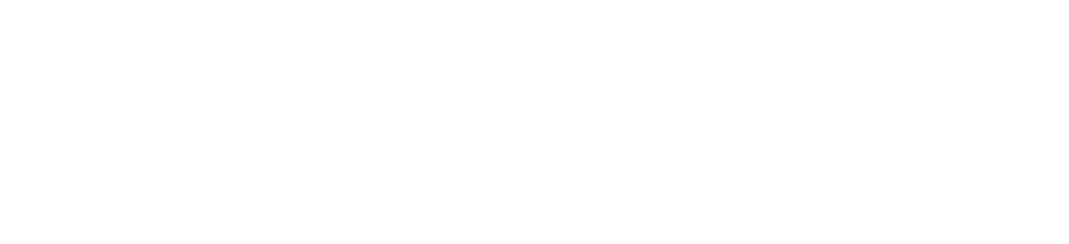 DZB Leiden – Jaarbeeld 2024