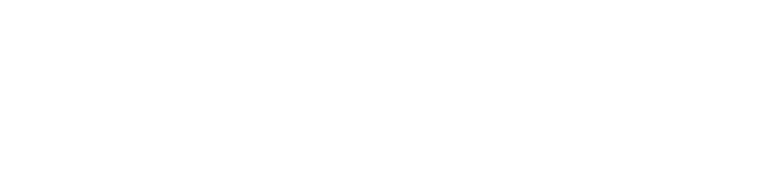 DZB Leiden – Jaarbeeld 2024